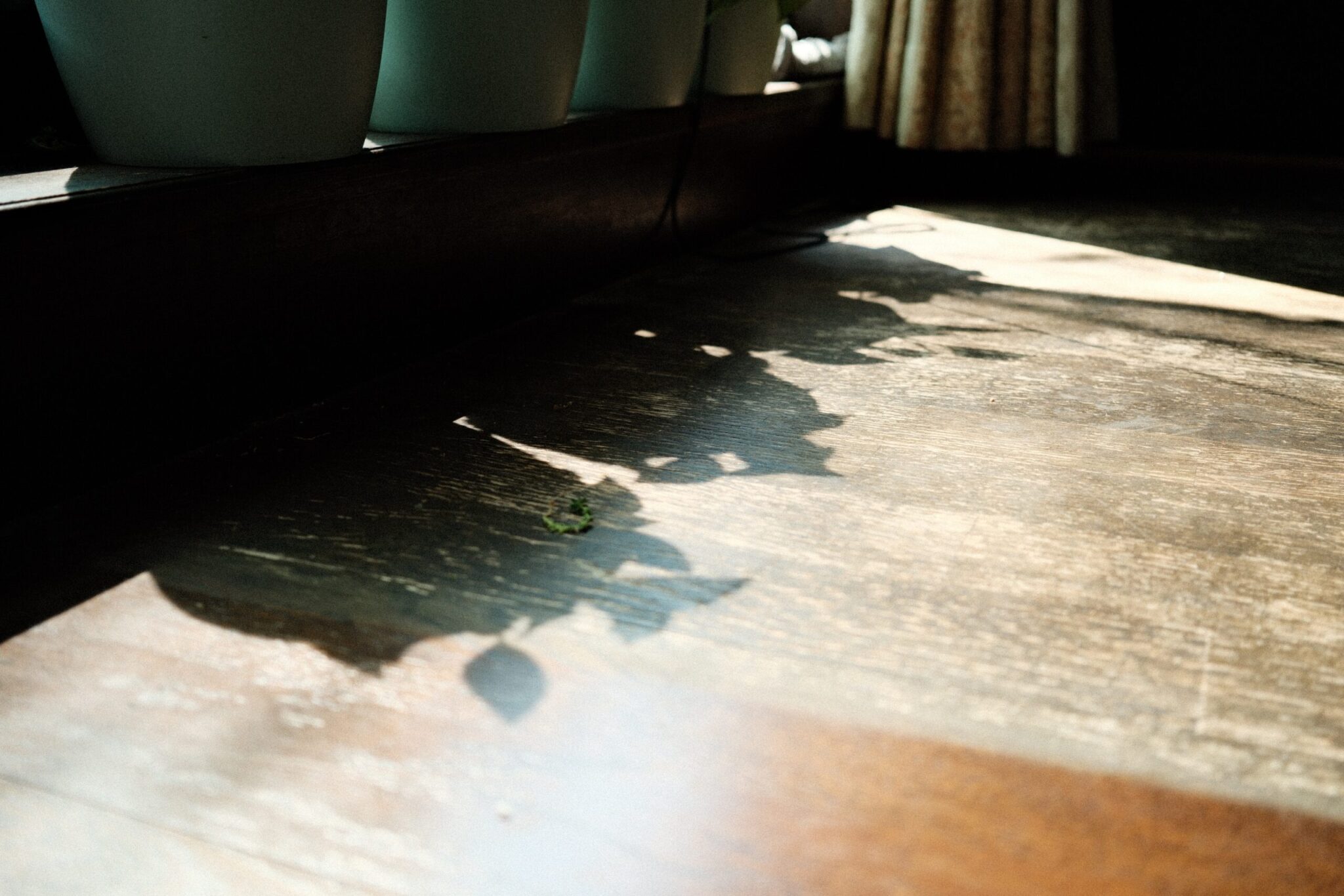 【完全レビュー】富士フイルムX-E5カメラの実力を徹底検証！4020万画素の魅力とX-E4との違いを詳しく解説 | みにーもブログ